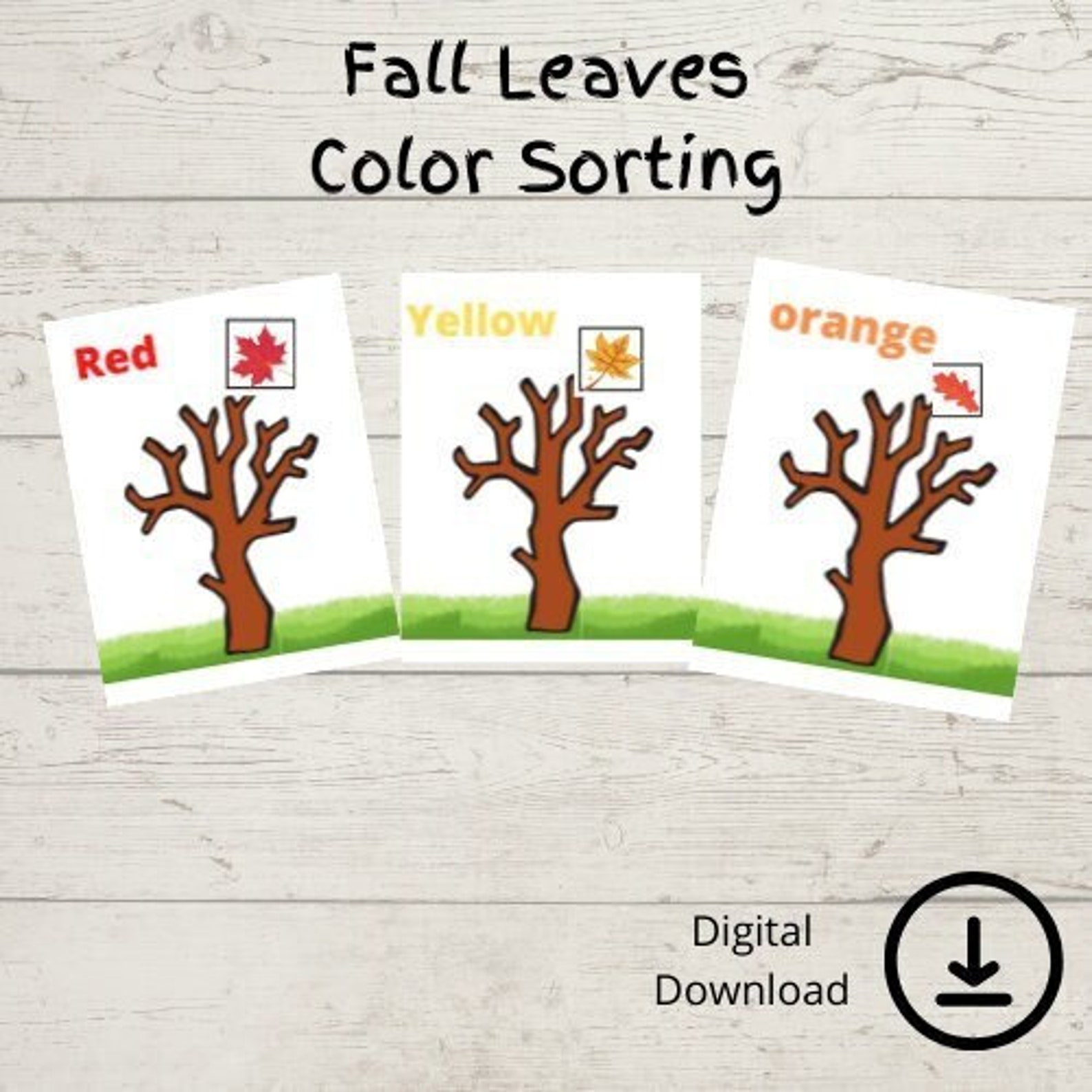 Autumn Leaves Color Sorting Activity | Autumn Theme | Task Box ...