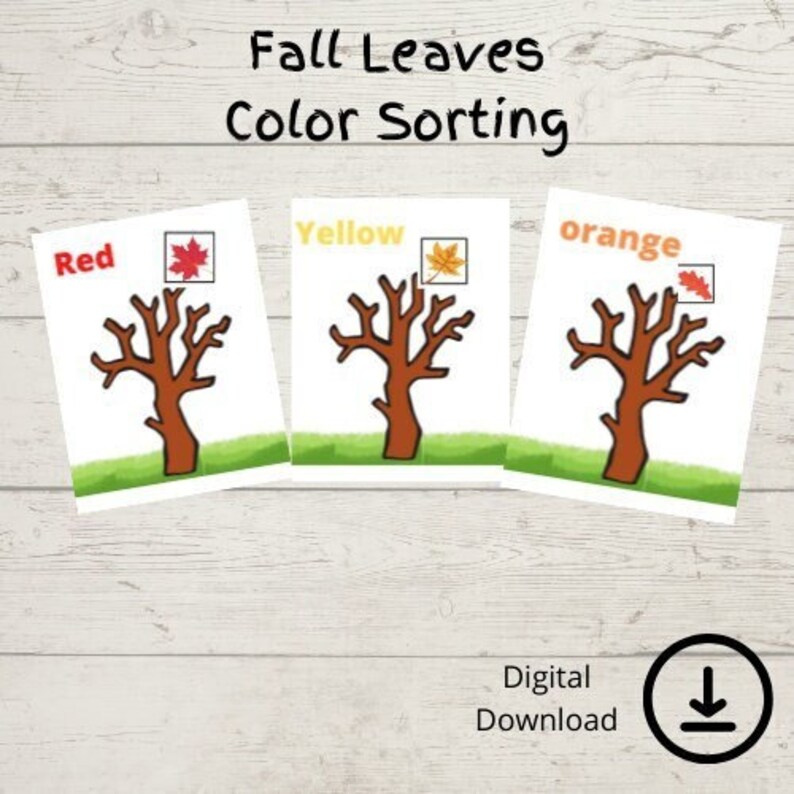 Autumn Leaves Color Sorting Activity | Autumn Theme | Task Box ...