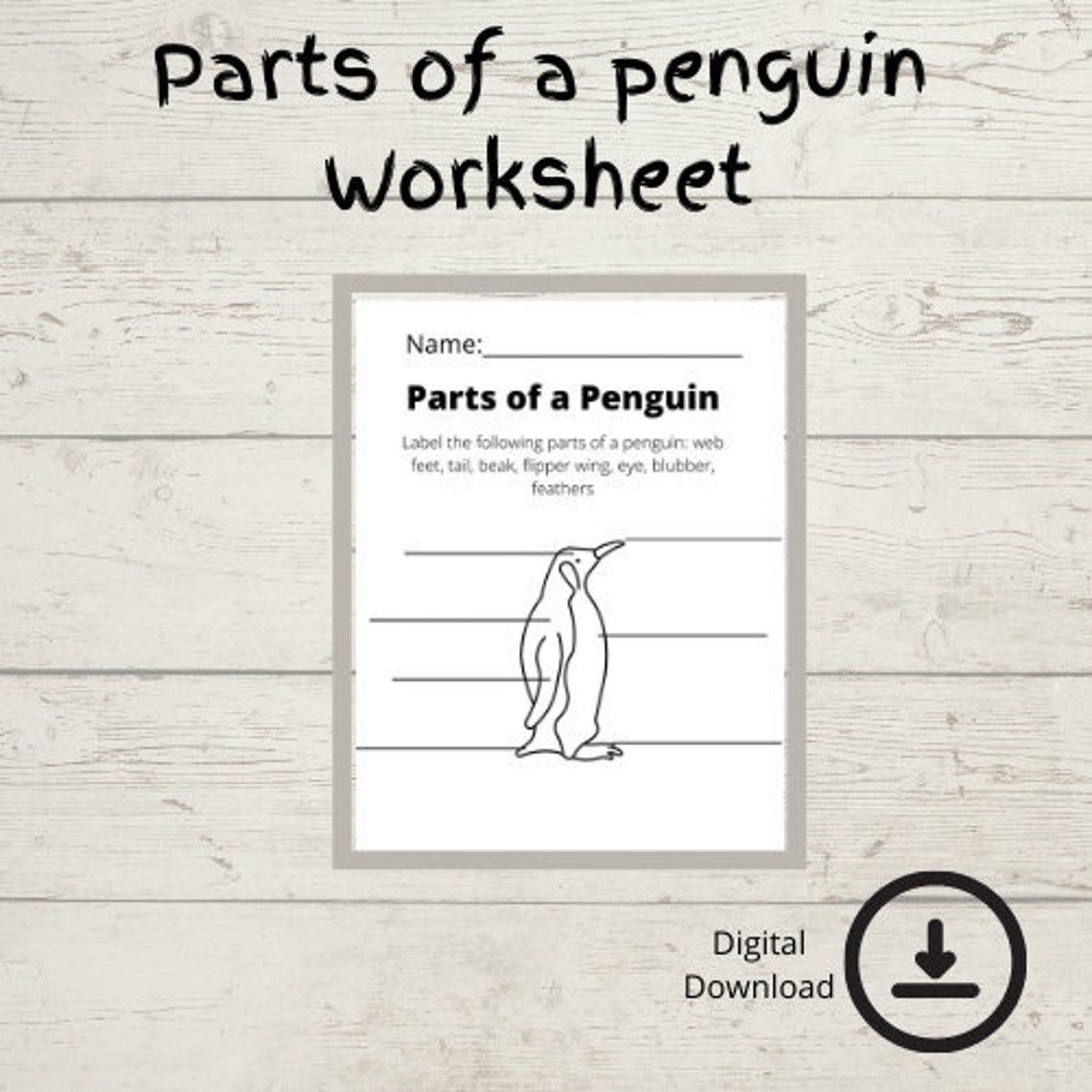 Parts of a Penguin Worksheet | Classroom Printables | Digital Download ...
