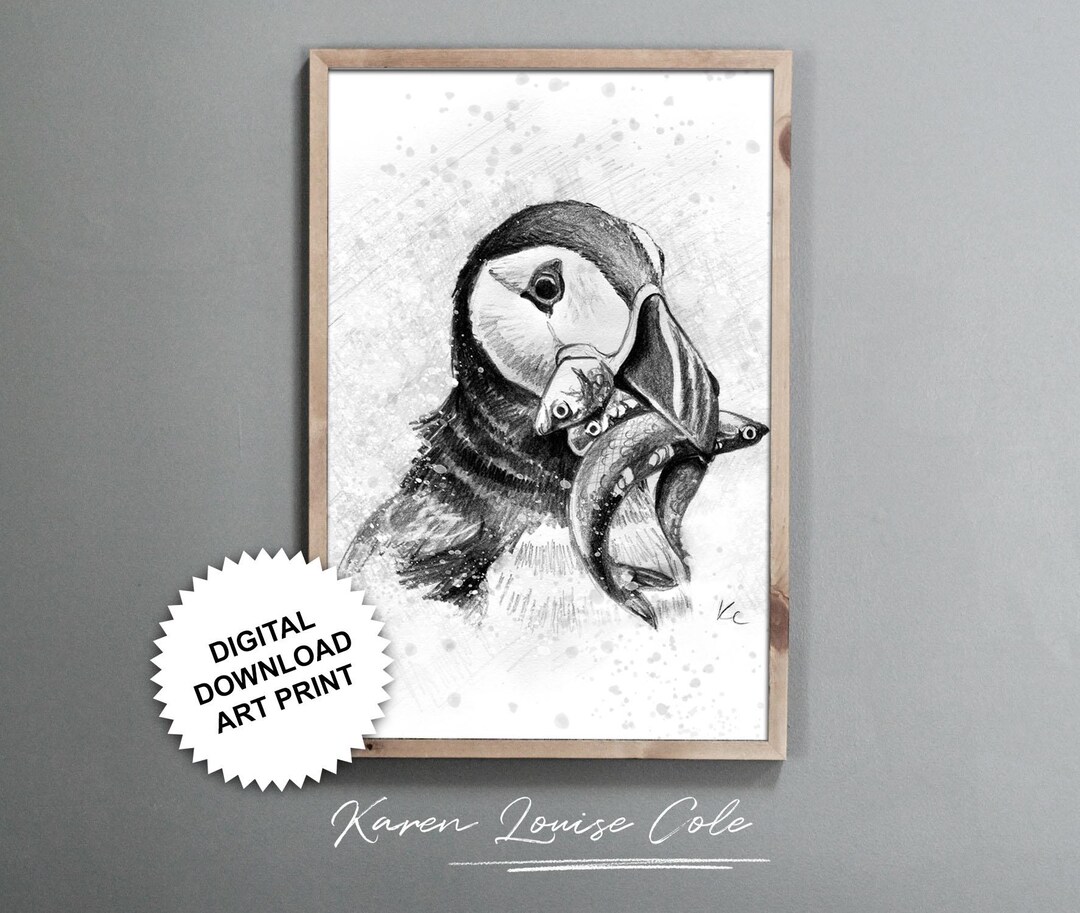 Hand-drawn Puffin Art Print: Coastal Wall Decor (digital Download) - Etsy