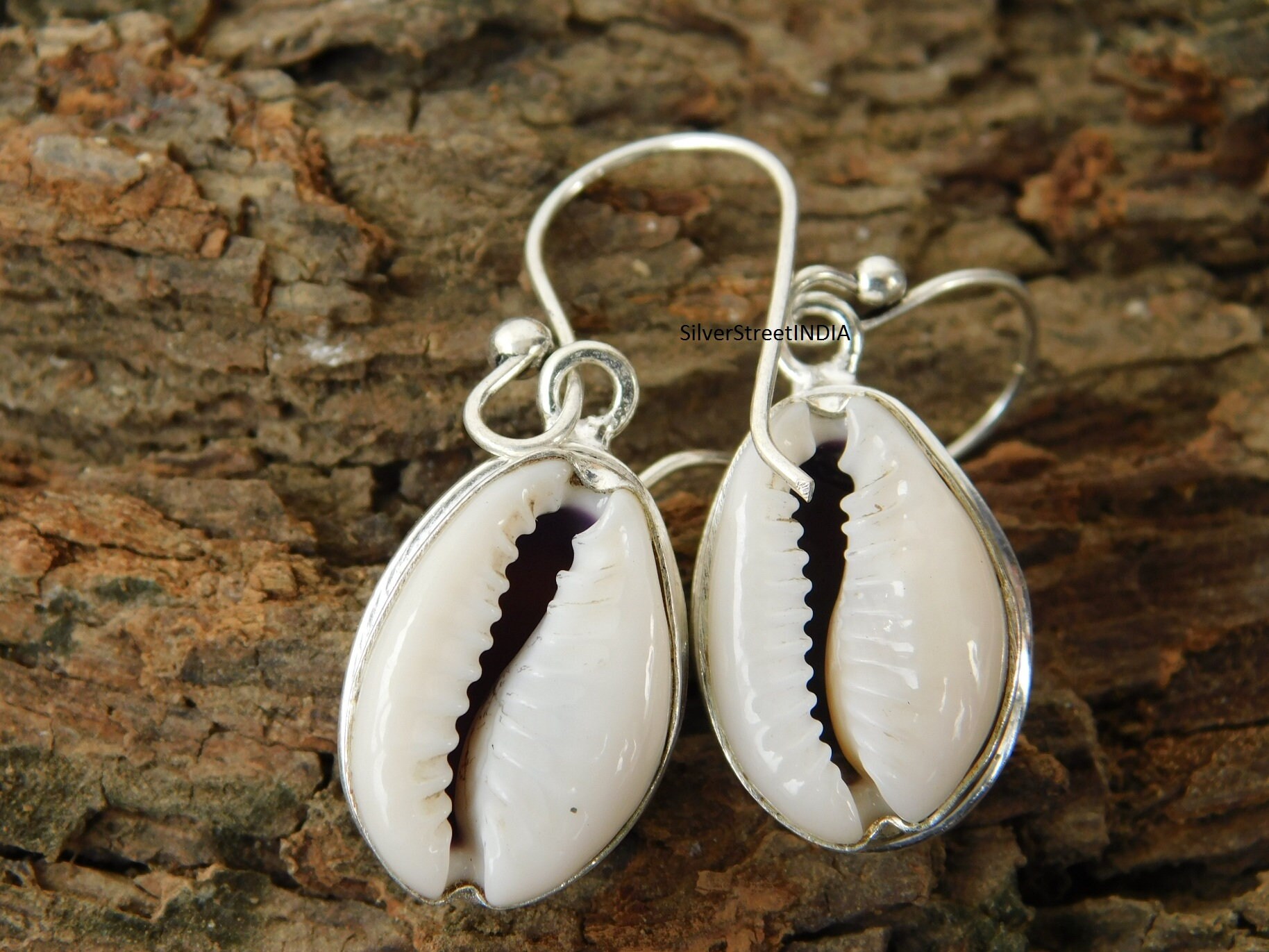 Natural Cowrie Shells Earring Money Cowrie Shell Earrings - Etsy