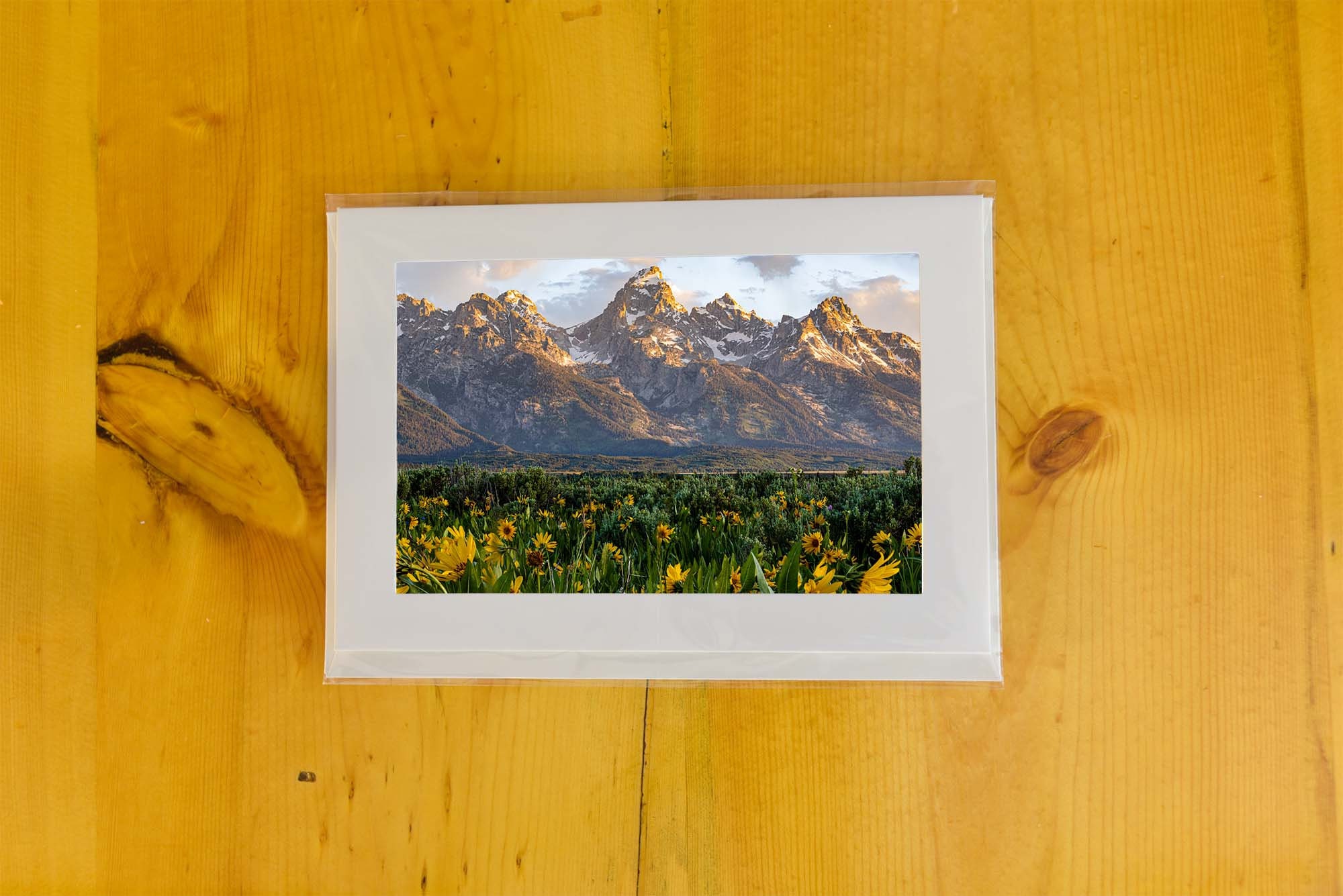 Wildflowers in Grand Teton National Park Folding Card and Print - Etsy