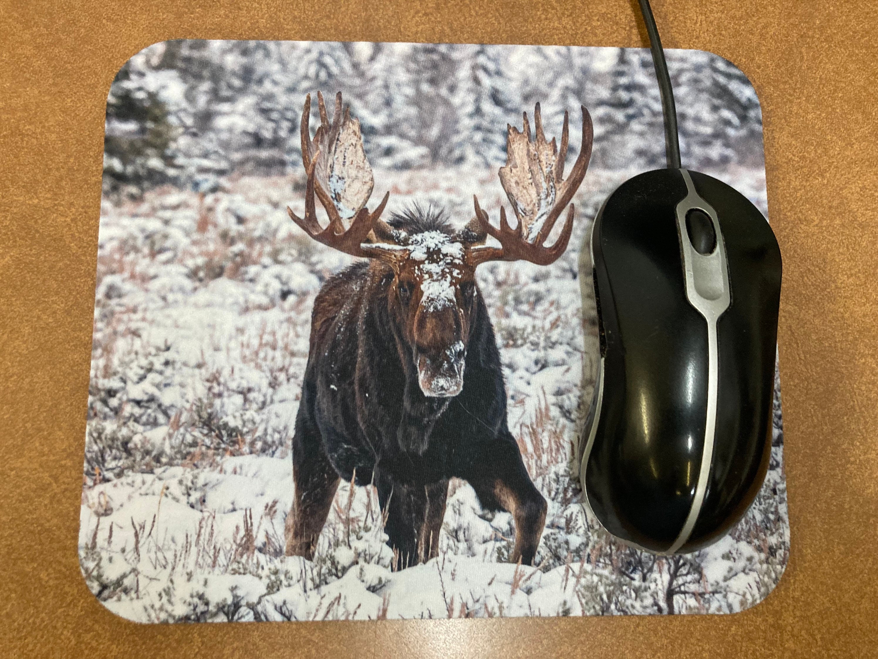 Grand Teton National Park Mouse Pad Bull Moose or Grizzly Bear 399 With ...