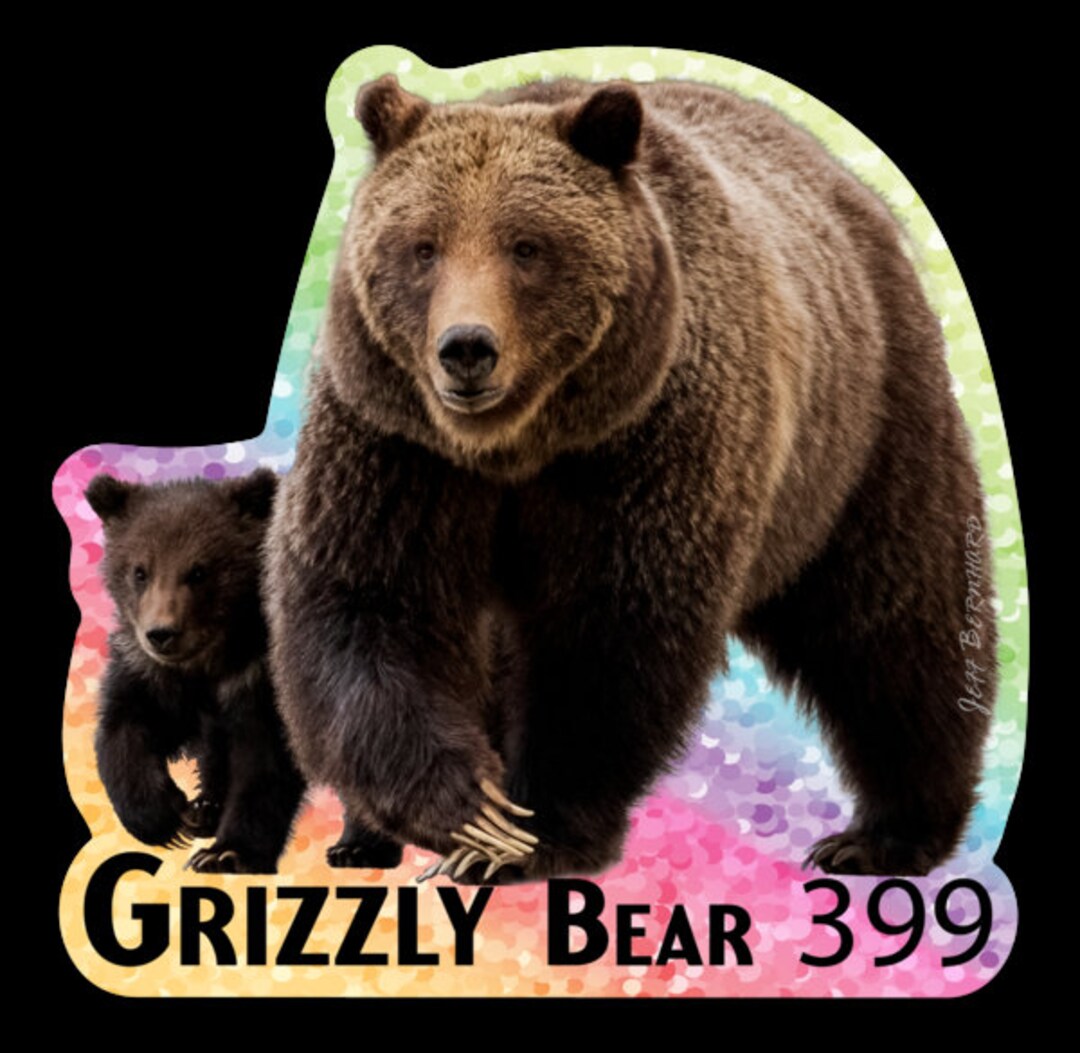Grizzly Bear 399 With Cub 2023 Sticker - Etsy
