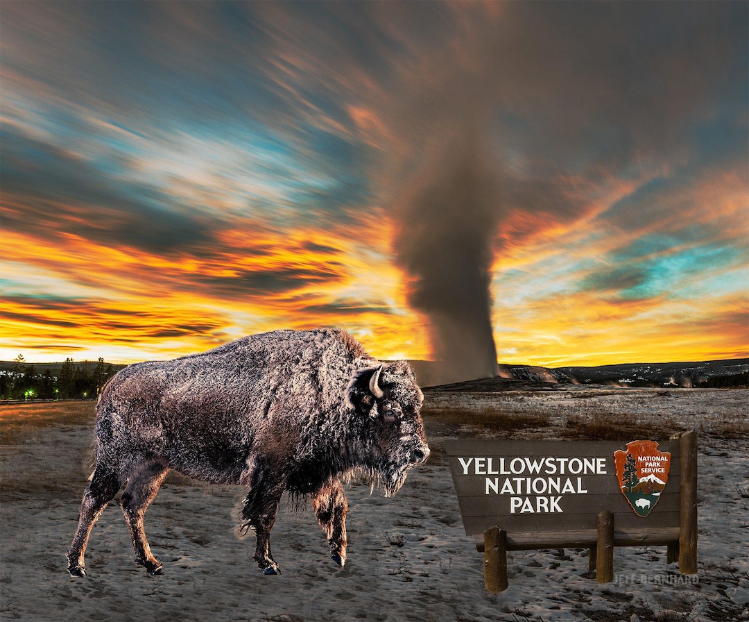 Old Faithful Geyser Sticker & Magnet Yellowstone National Park - Etsy