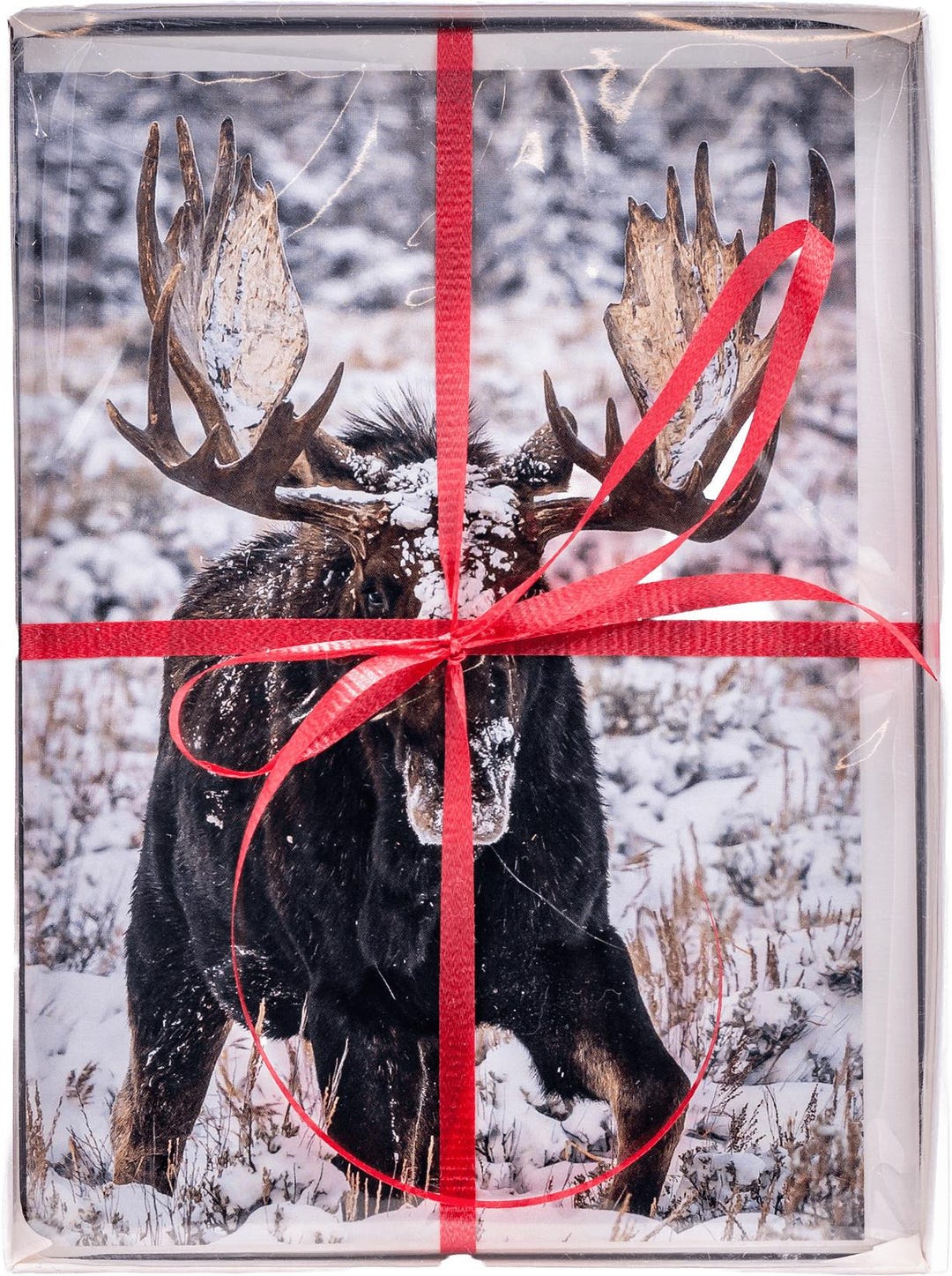 Grand Teton National Park Folding Cards (wildlife 8-pack) | Jeff ...