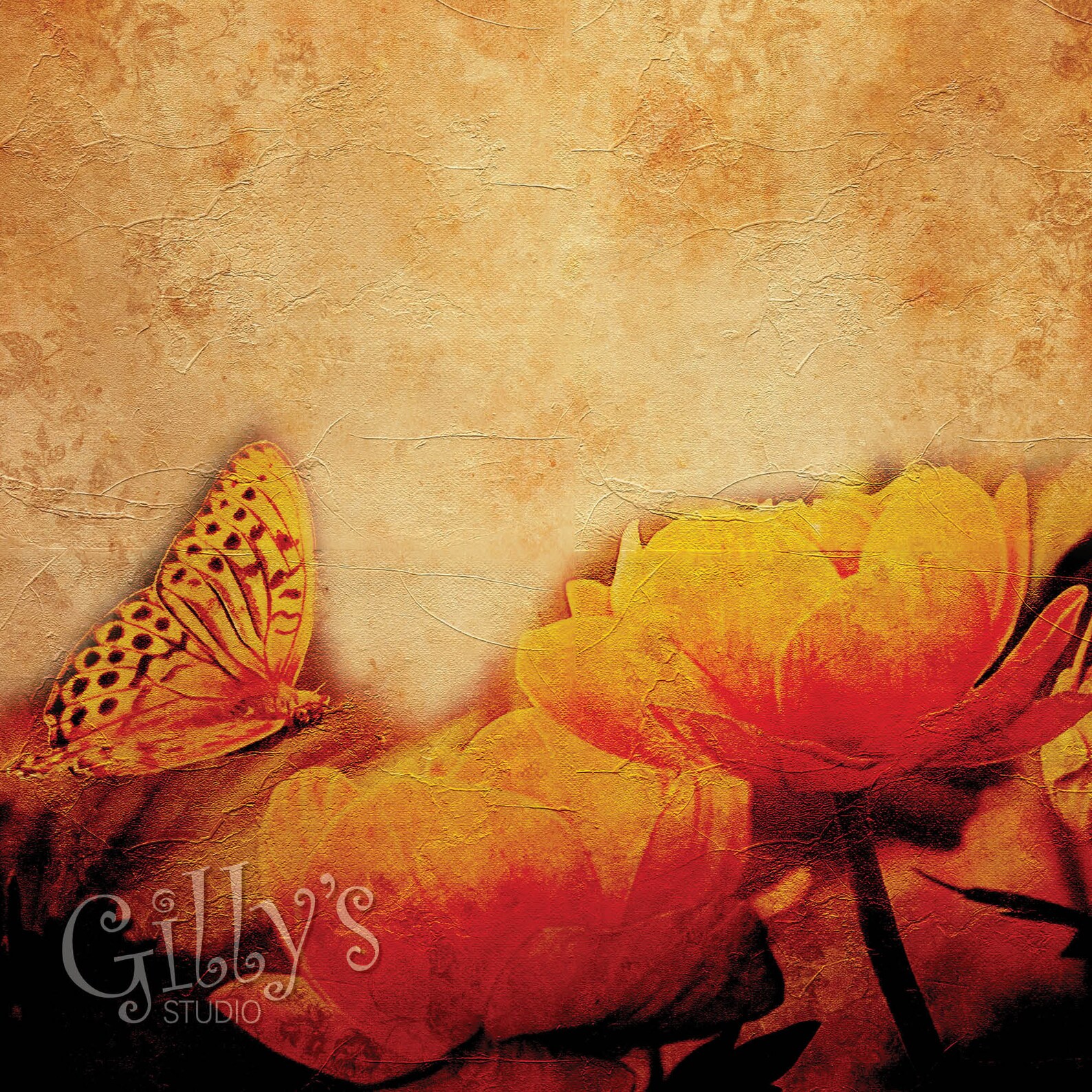 Butterfly Digital Paper: Butterflies Printables Butterflies - Etsy