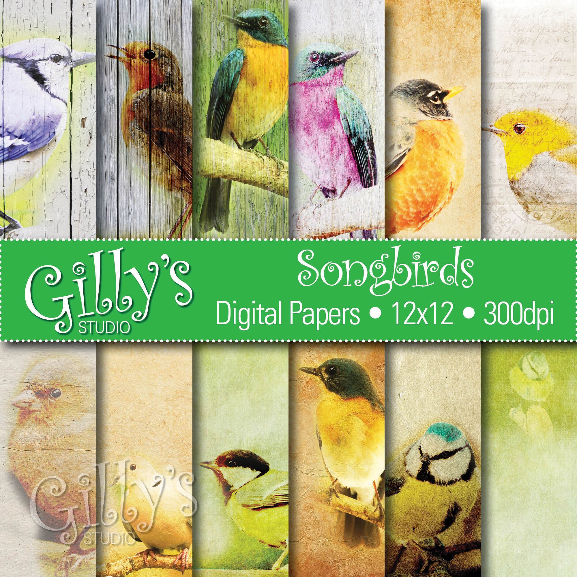 Digital Paper Bundle: FUR & FEATHERS, Printables, Digital Backgrounds ...