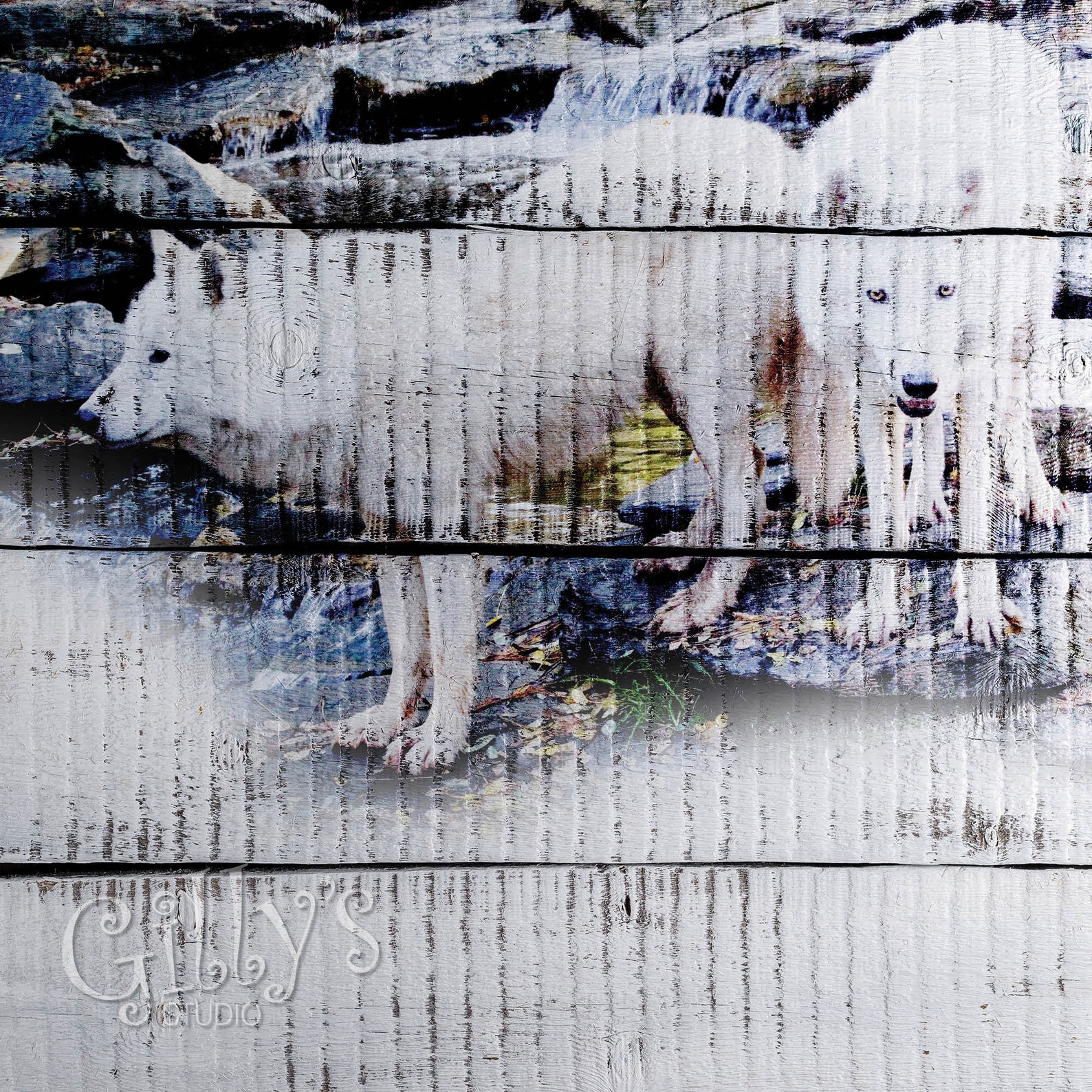 Wolves Digital Paper: Wolves, Printables, Wolves Background, Commercial ...