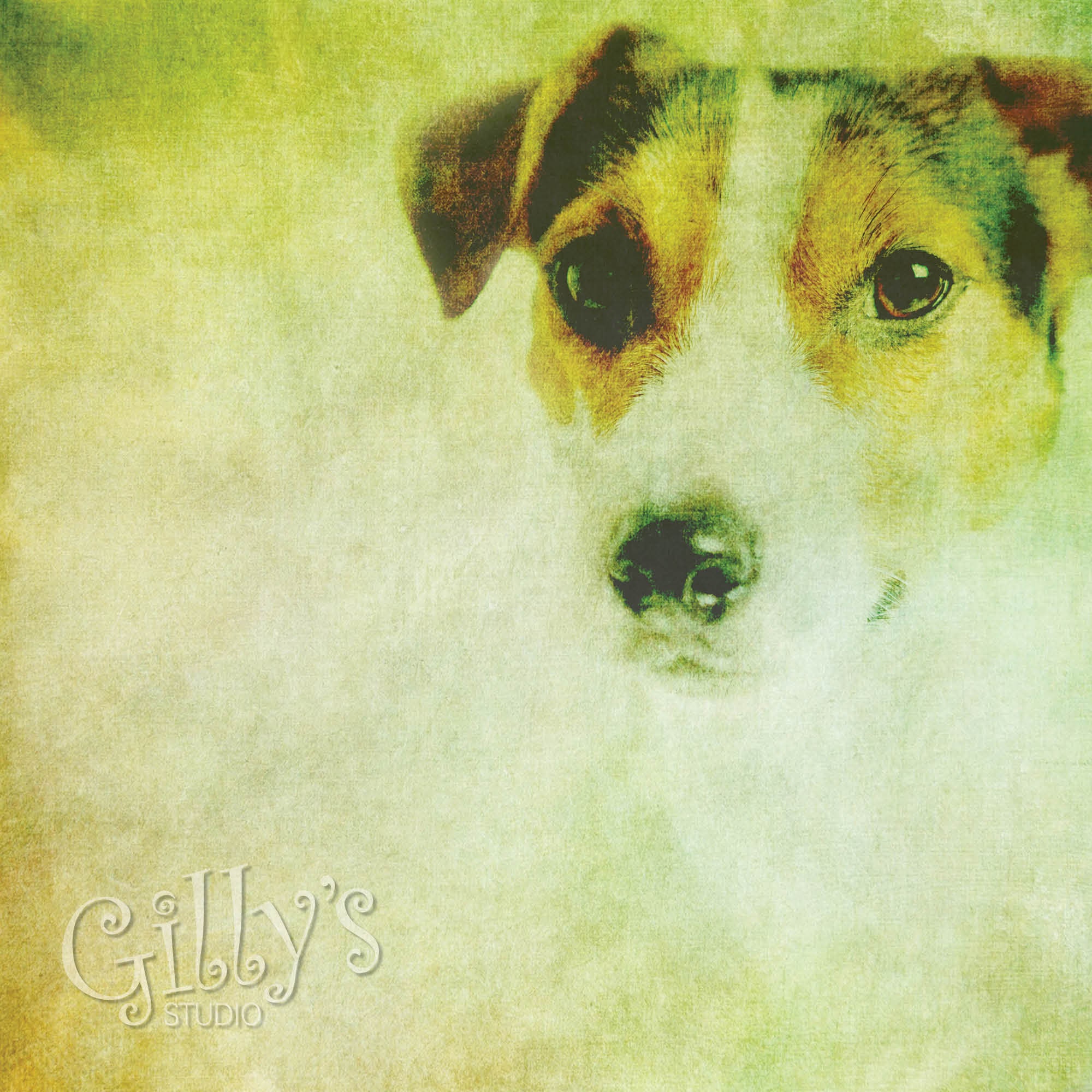 Dogs Digital Paper: Dogs Printables Dogs Background - Etsy