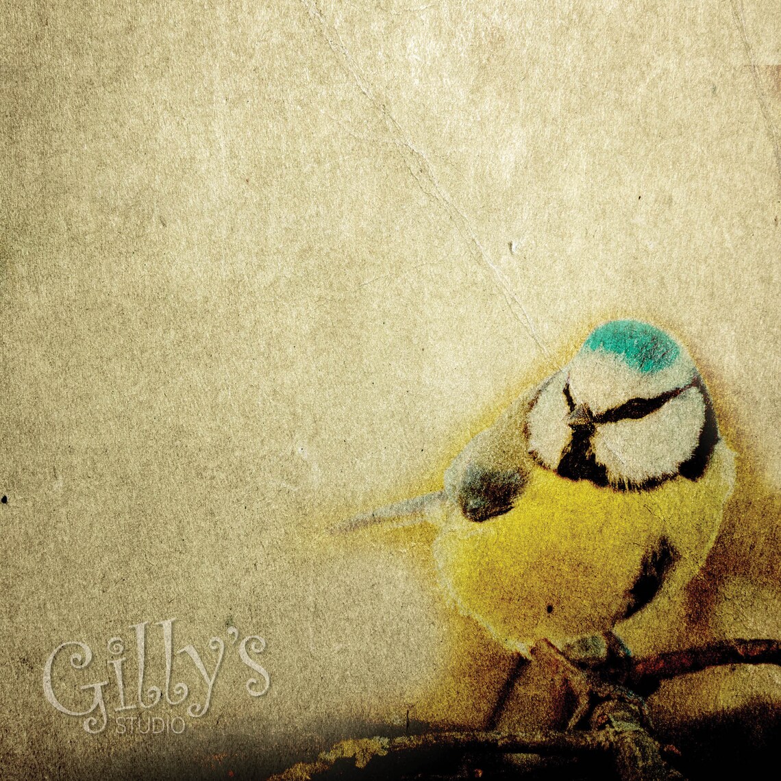 Songbird Digital Paper: Songbirds Printables Songbird - Etsy