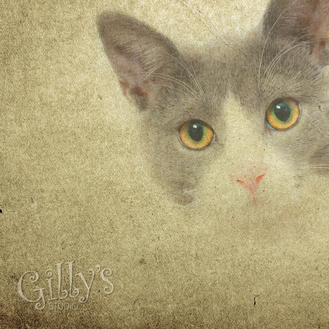 Cats Digital Paper: Cats Printables Cats Background | Etsy