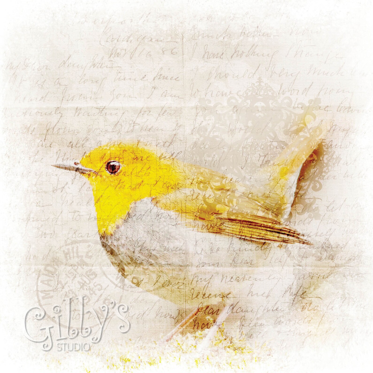 Songbird Digital Paper: Songbirds, Printables, Songbird Background ...