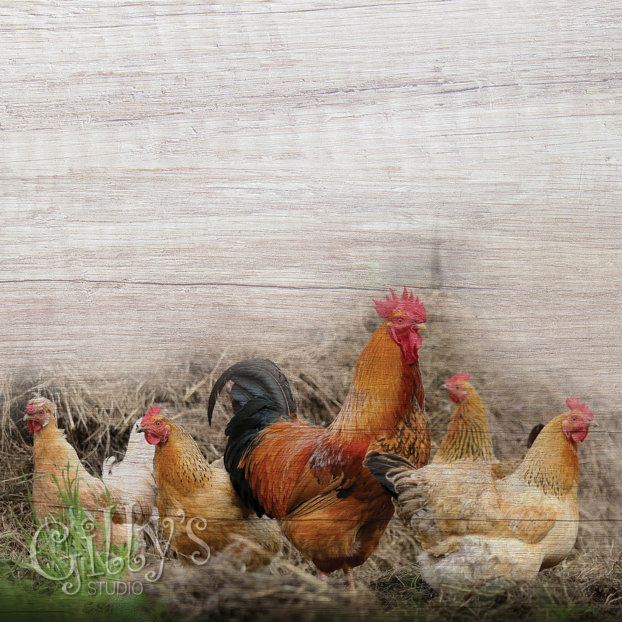 Chicken Digital Paper: Chickens Printables Chicken | Etsy