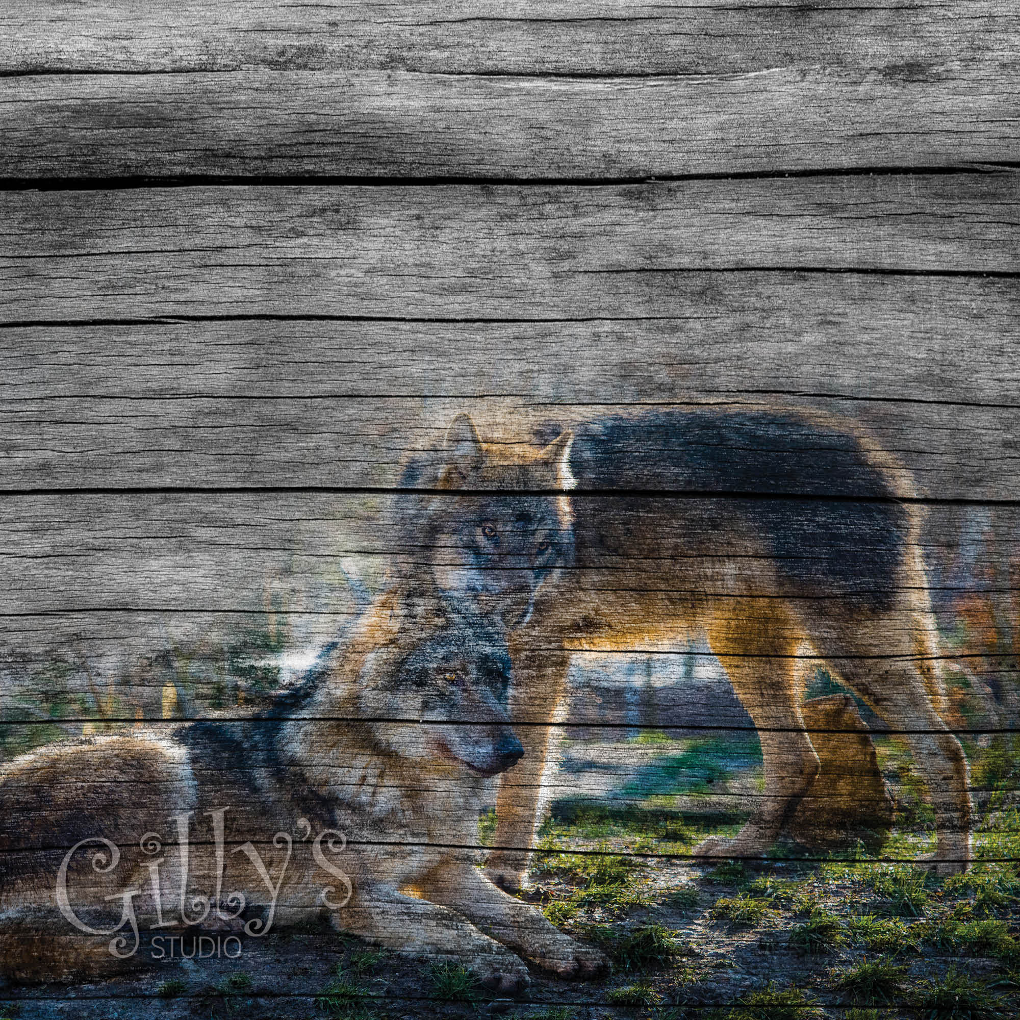 Wolves Digital Paper: Wolves, Printables, Wolves Background, Commercial ...