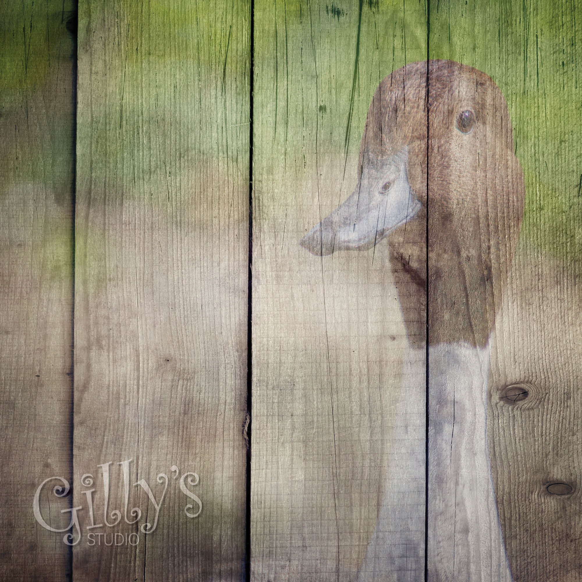 Ducks Digital Paper: Ducks, Printables, Duck Background, Commercial Use ...