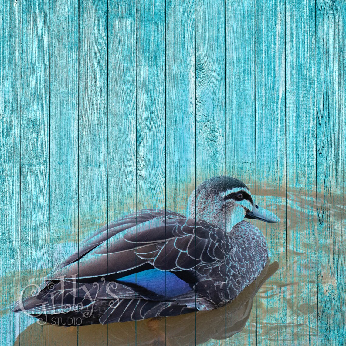 Ducks Digital Paper: Ducks, Printables, Duck Background, Commercial Use ...