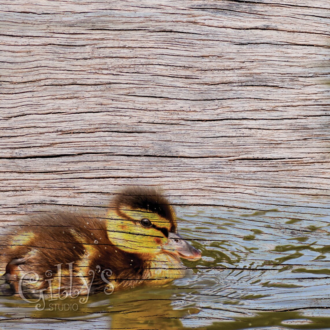 Ducks Digital Paper: Ducks, Printables, Duck Background, Commercial Use ...