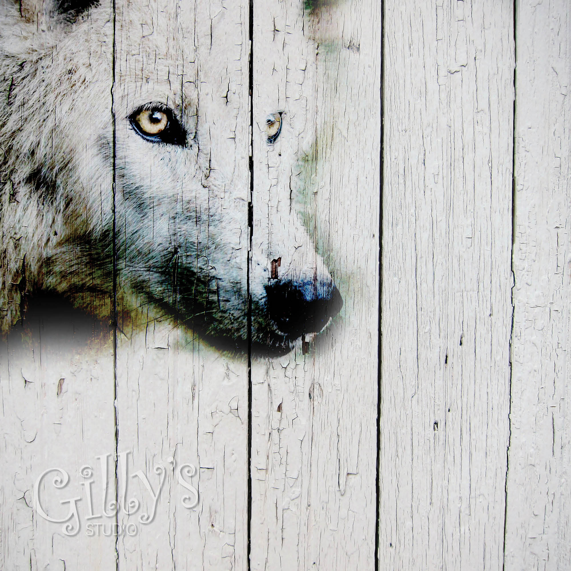 Wolves Digital Paper: Wolves, Printables, Wolves Background, Commercial ...