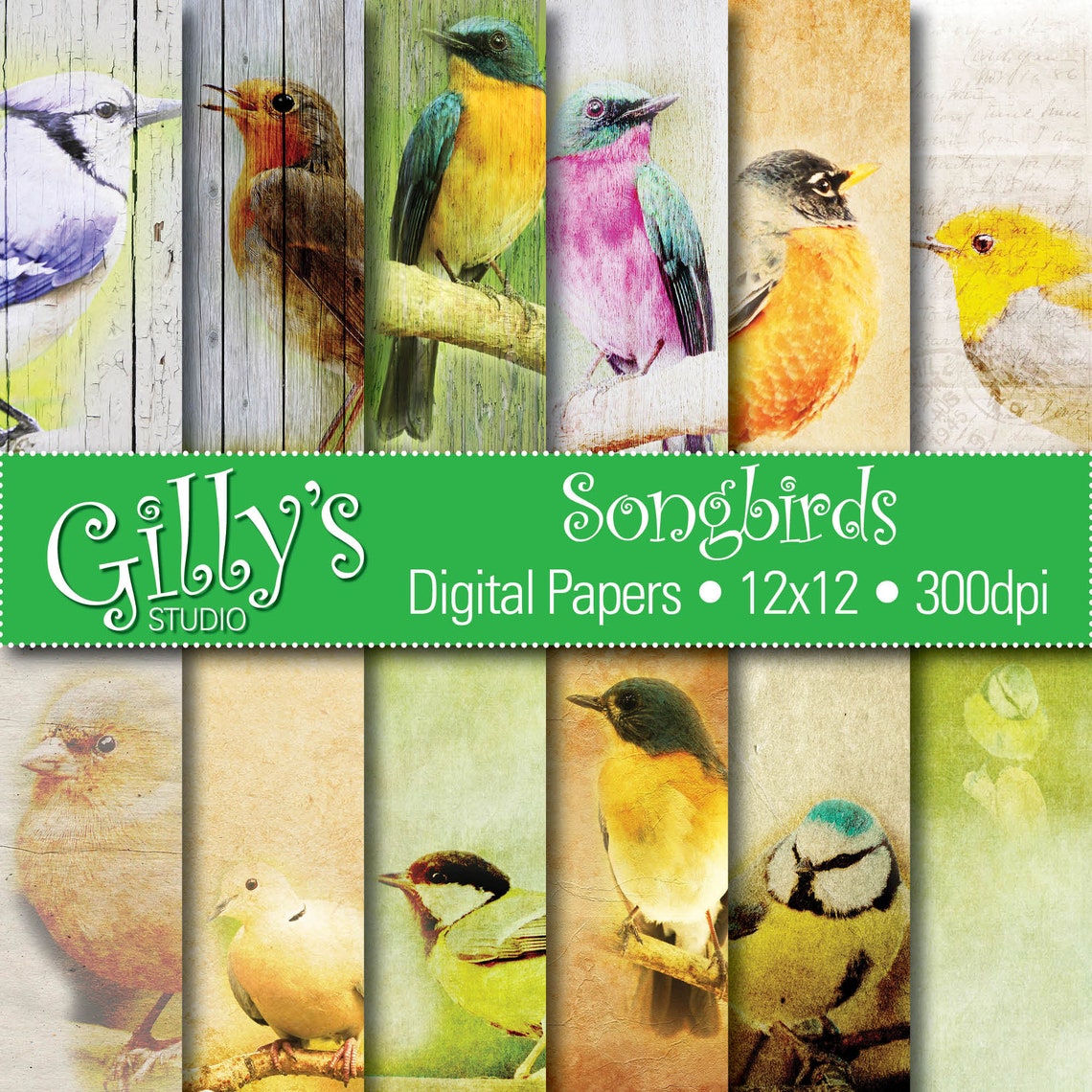 Songbird Digital Paper: Songbirds Printables Songbird - Etsy