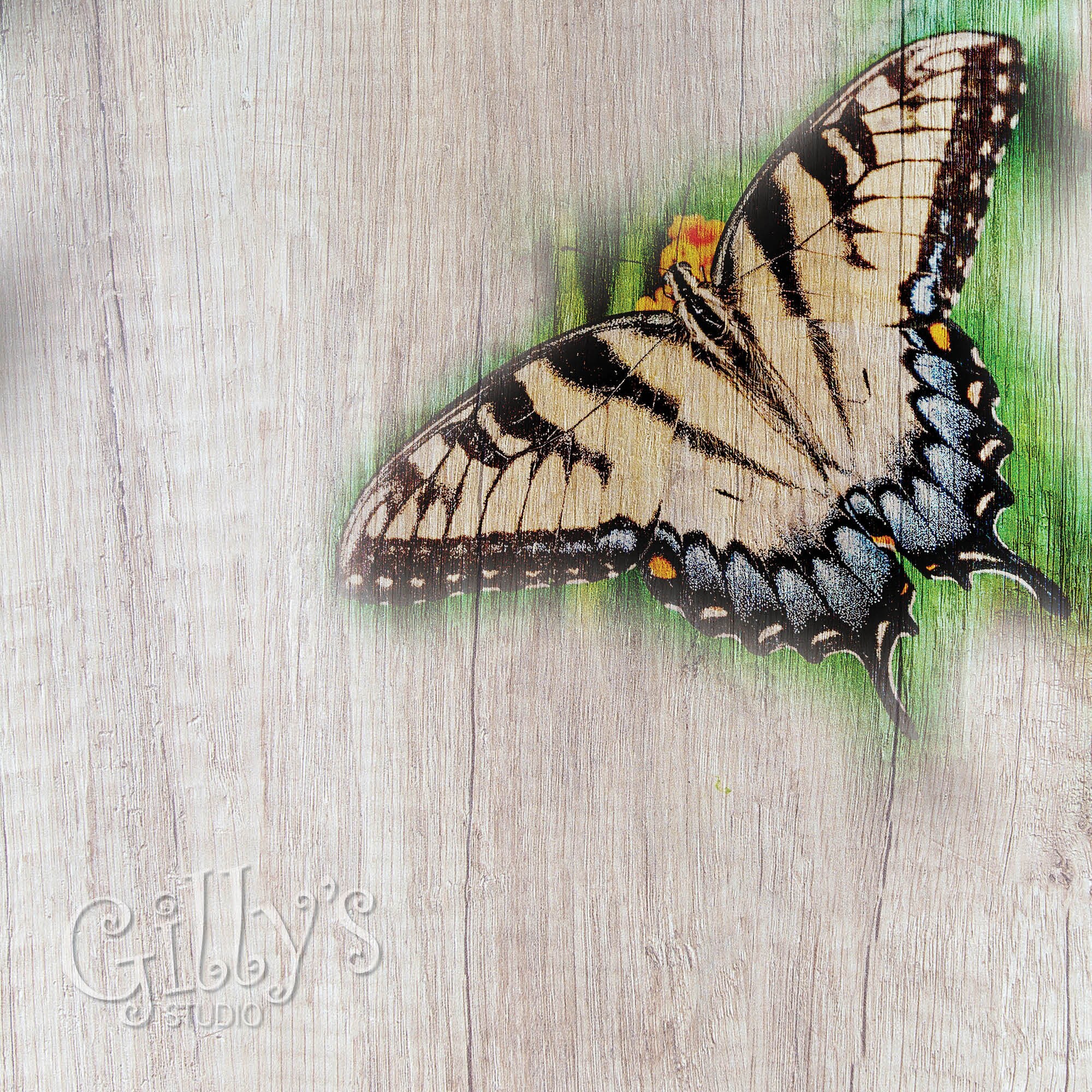 Butterfly Digital Paper: Butterflies, Printables, Butterflies ...