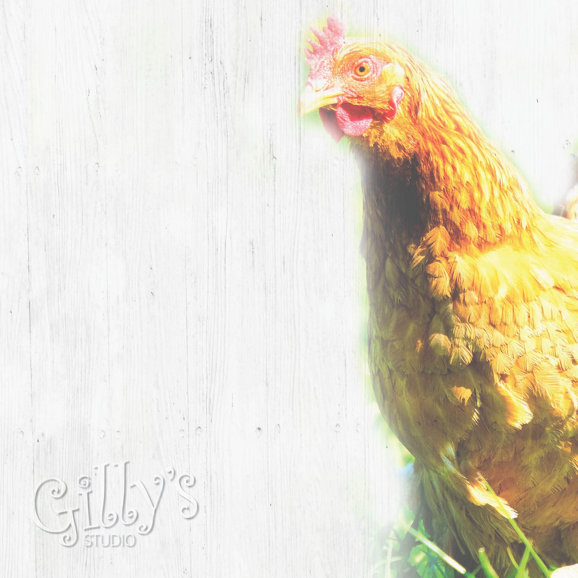 Chicken Digital Paper: Chickens, Printables, Chicken Background ...