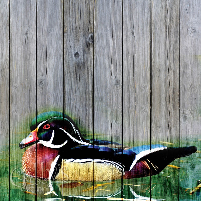 Ducks Digital Paper: Ducks, Printables, Duck Background, Commercial Use ...