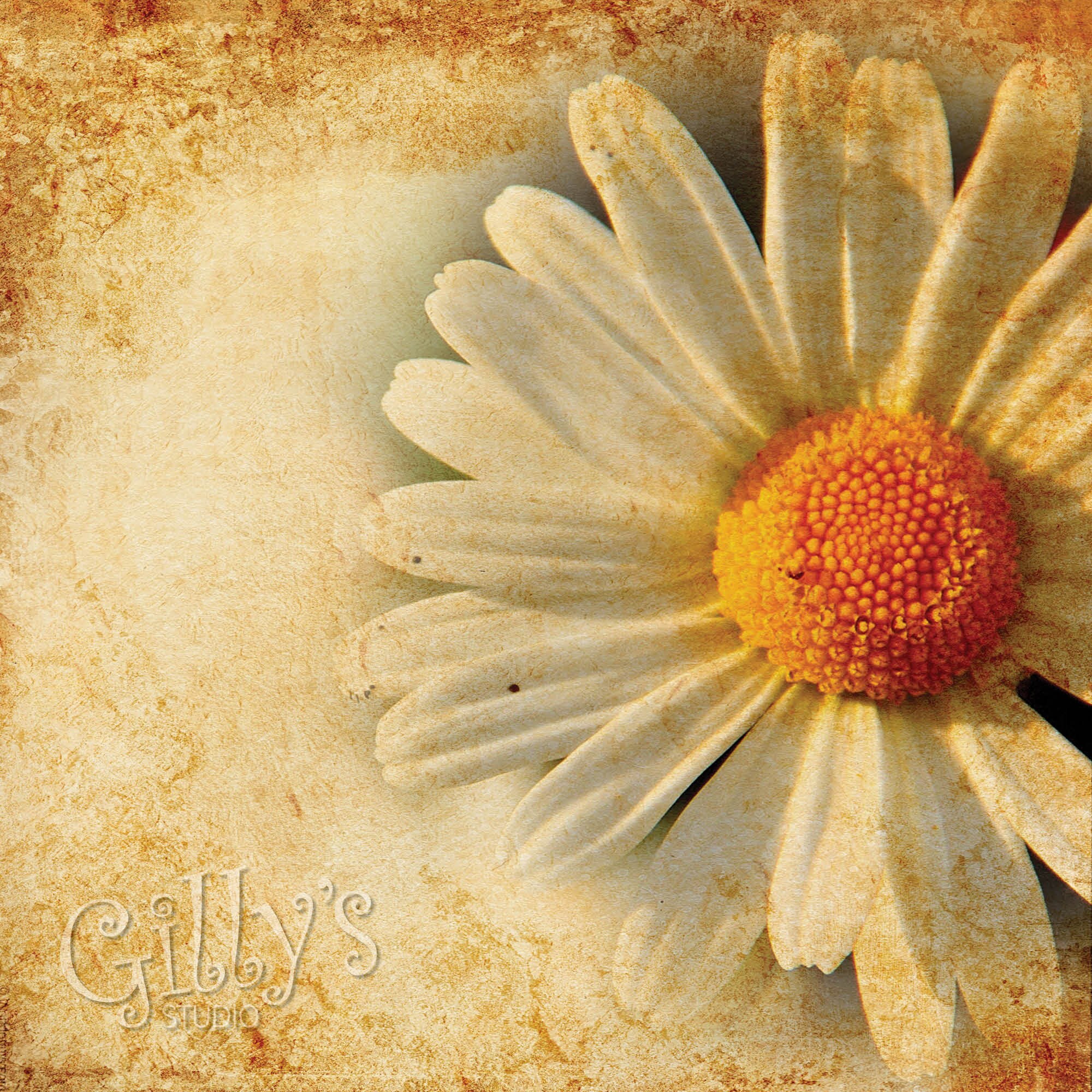 Flowers Digital Paper: Flowers Printables Flowers - Etsy