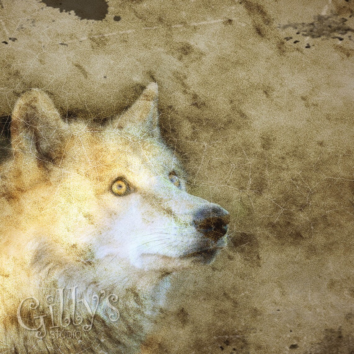 Wolves Digital Paper: Wolves, Printables, Wolves Background, Commercial ...