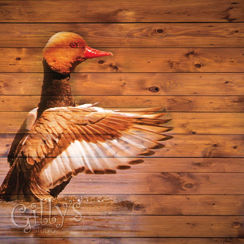 Ducks Digital Paper: Ducks, Printables, Duck Background, Commercial Use ...