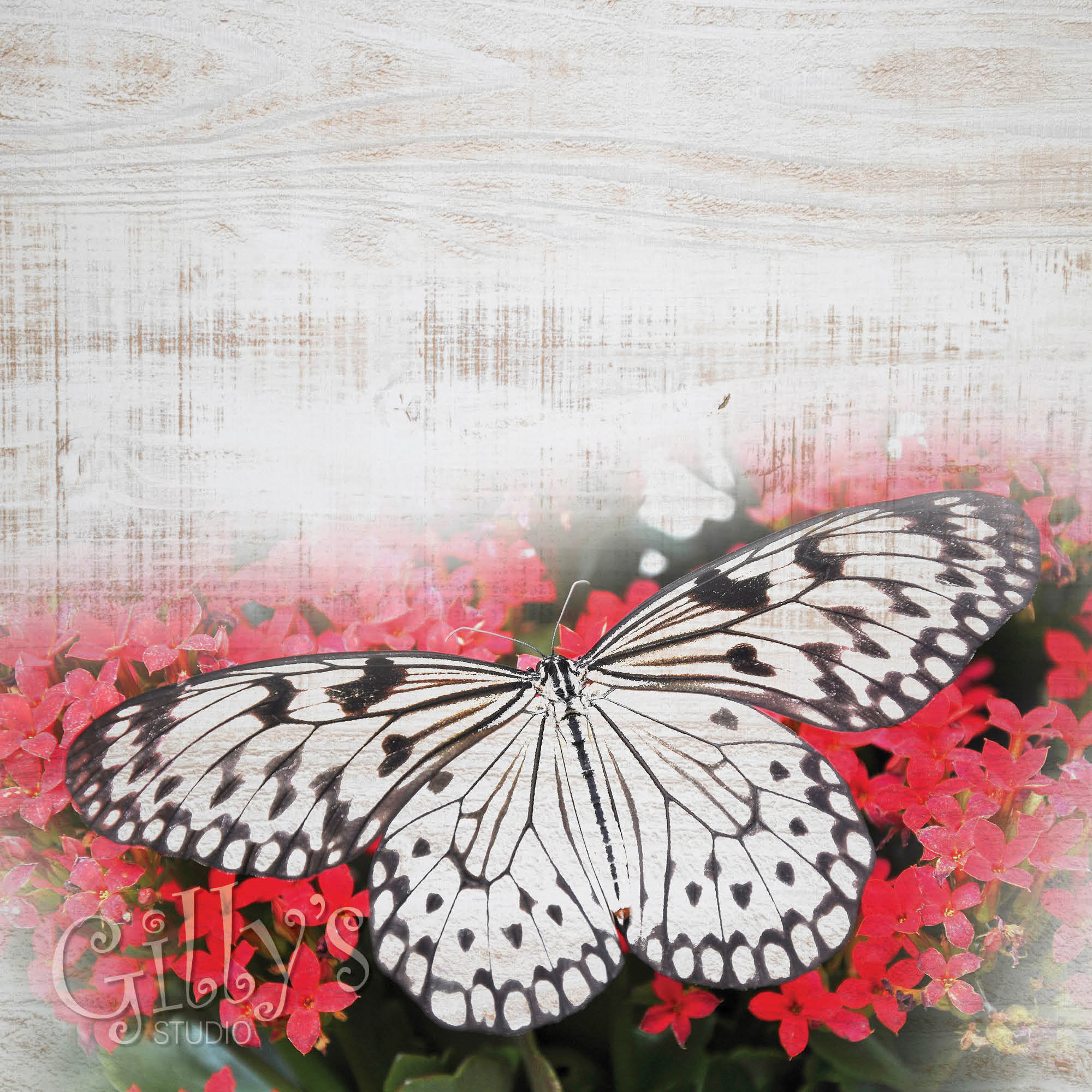 Butterfly Digital Paper: Butterflies Printables Butterflies - Etsy