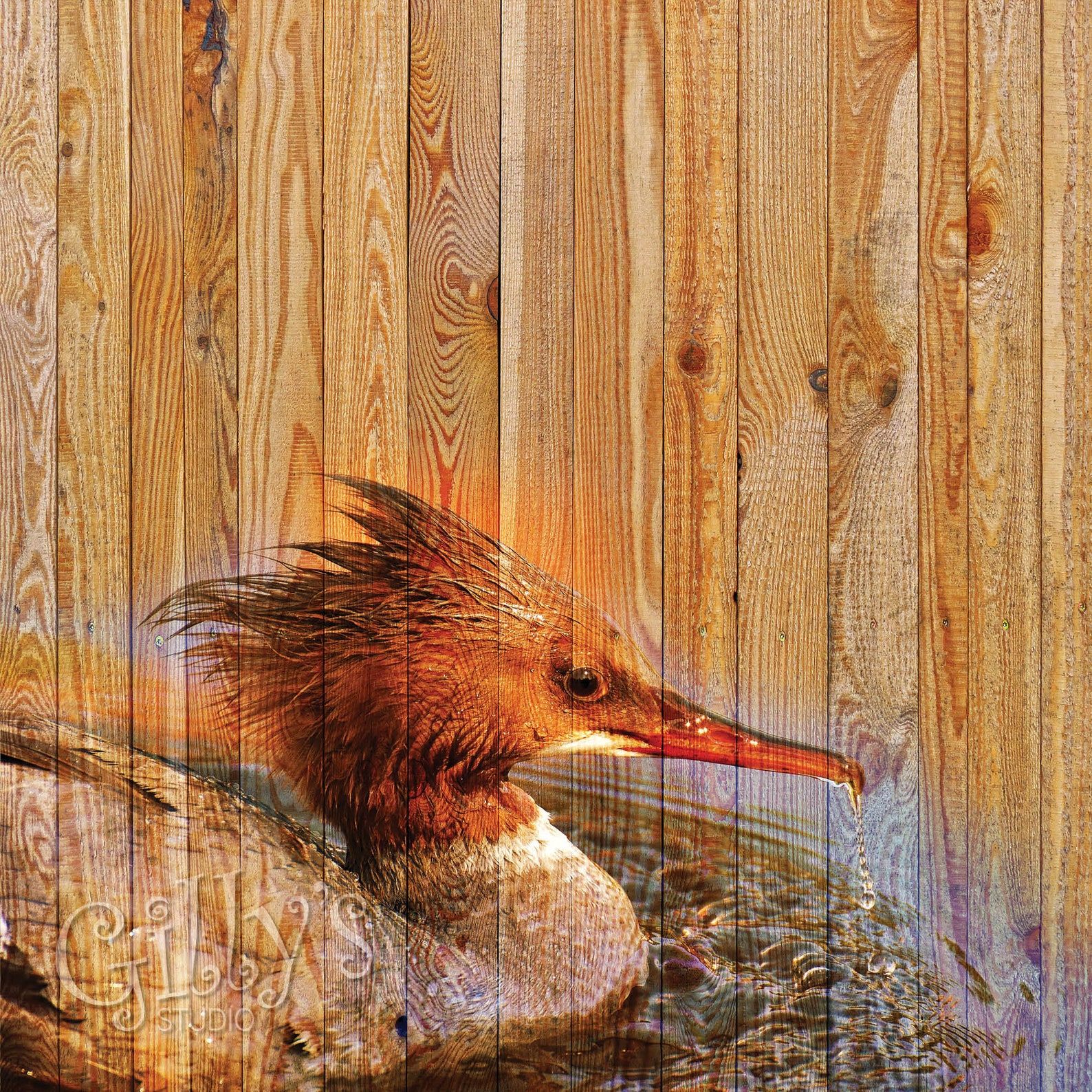 Ducks Digital Paper: Ducks, Printables, Duck Background, Commercial Use ...