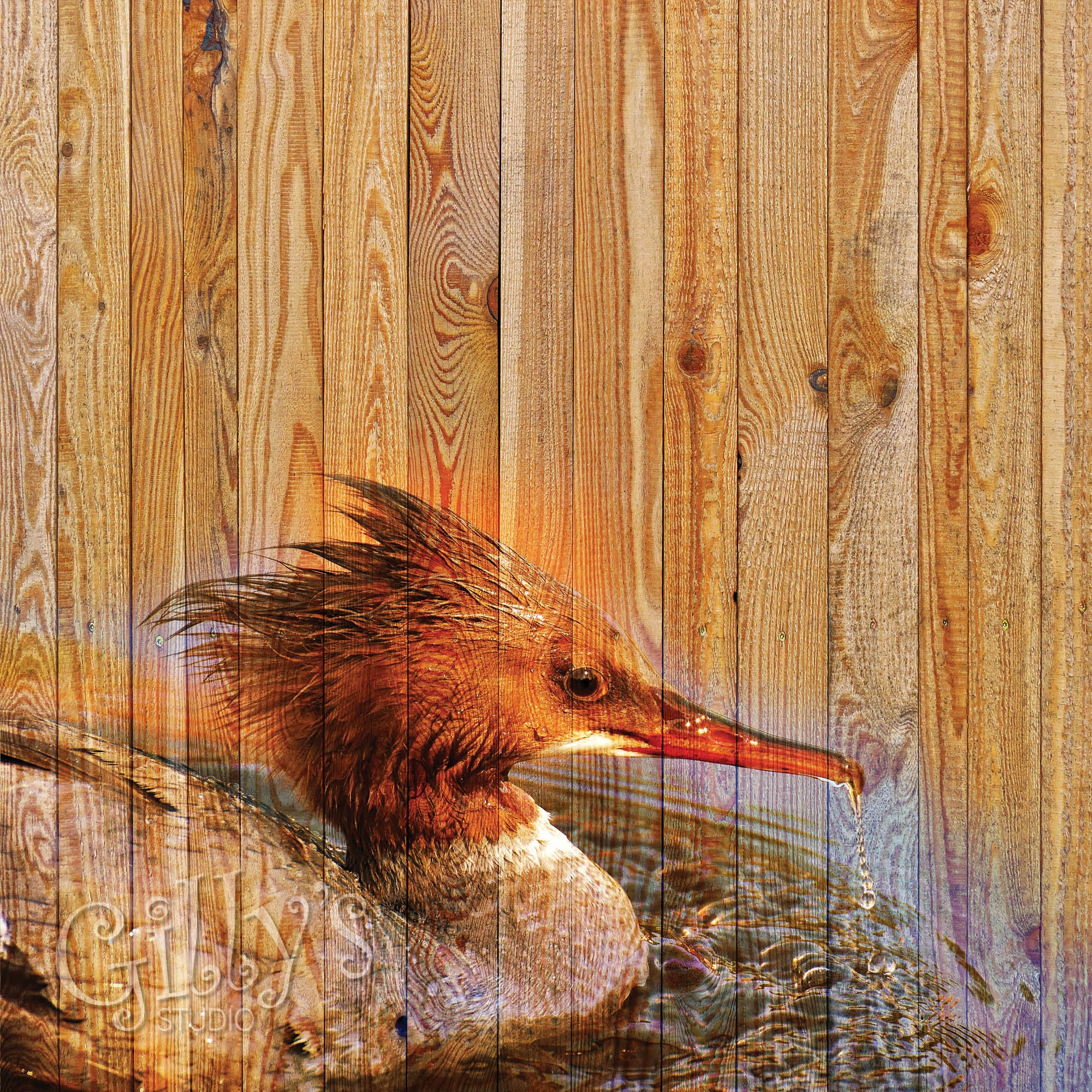 Ducks Digital Paper: Ducks, Printables, Duck Background, Commercial Use ...