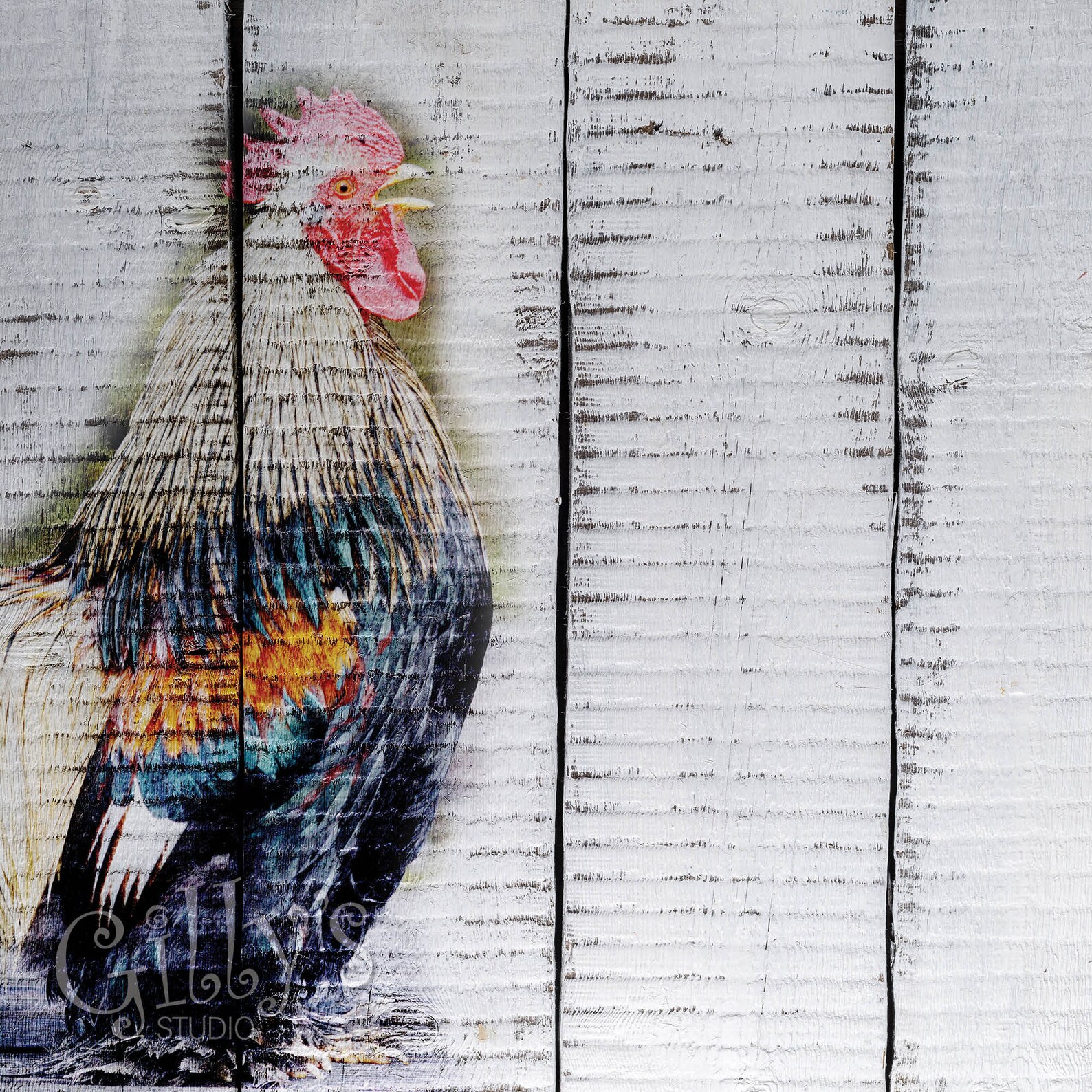 Chicken Digital Paper: Chickens, Printables, Chicken Background ...