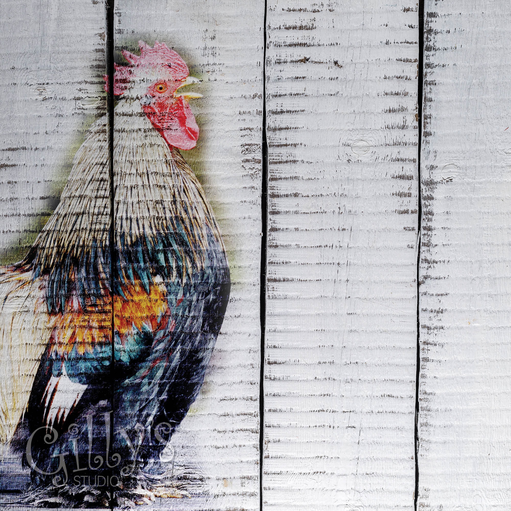 Chicken Digital Paper: Chickens, Printables, Chicken Background ...