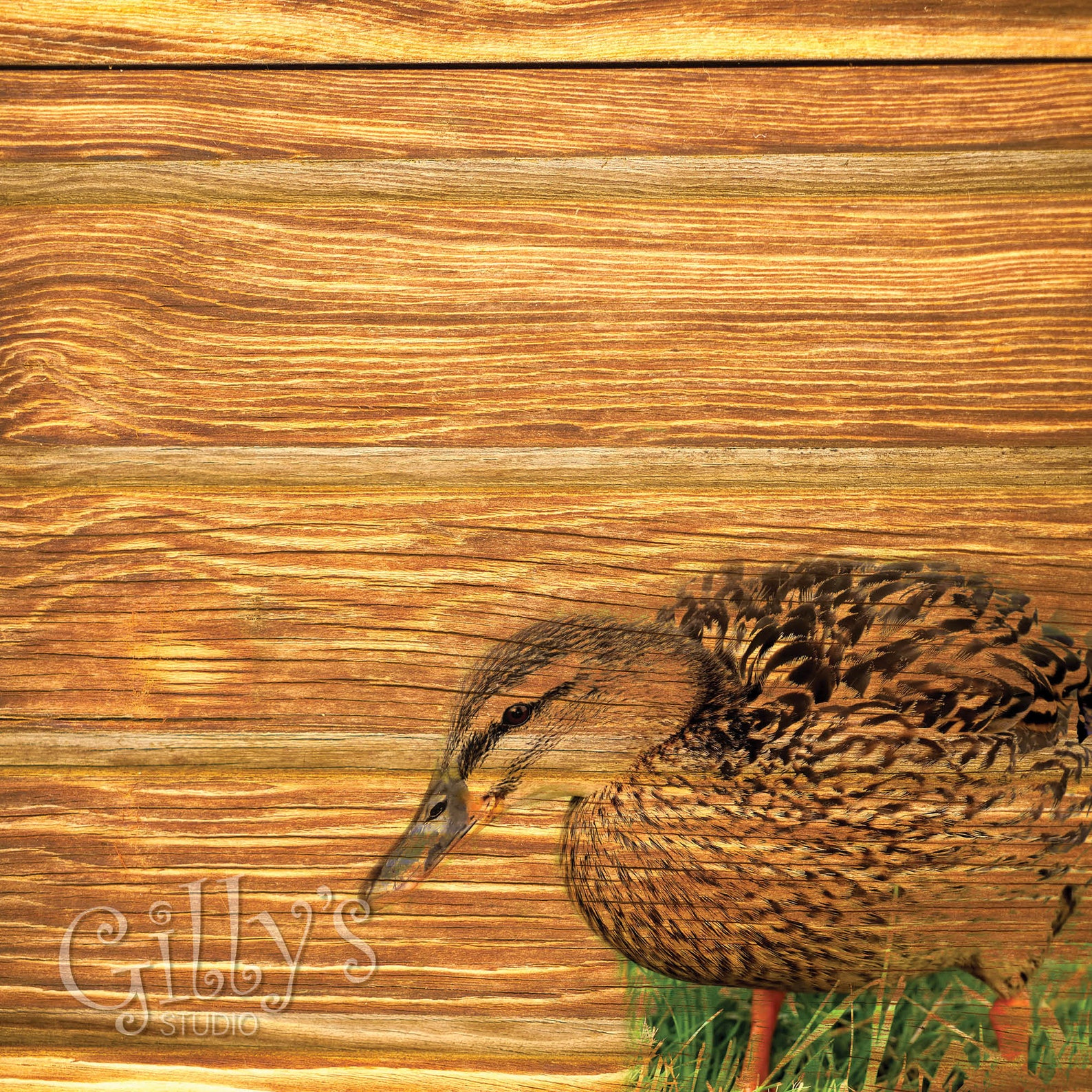 Ducks Digital Paper: Ducks, Printables, Duck Background, Commercial Use ...