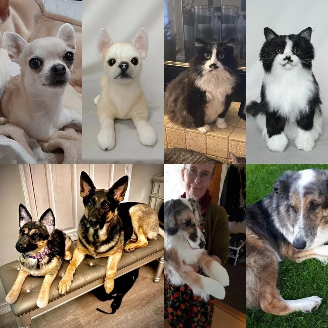 100% Handmade Custom Stuffed Cat Dog Plush Weighted,pet Memorial,cat ...