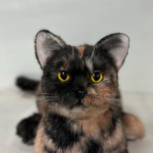 Handmade Tortoiseshell Cat Plush: Realistic Companion Gift (made to ...