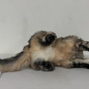 Handmade Tabby Cat Plush: Realistic Longhair Companion Gift,cat Lover ...