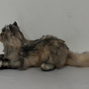 Handmade Tabby Cat Plush: Realistic Longhair Companion Gift,cat Lover ...