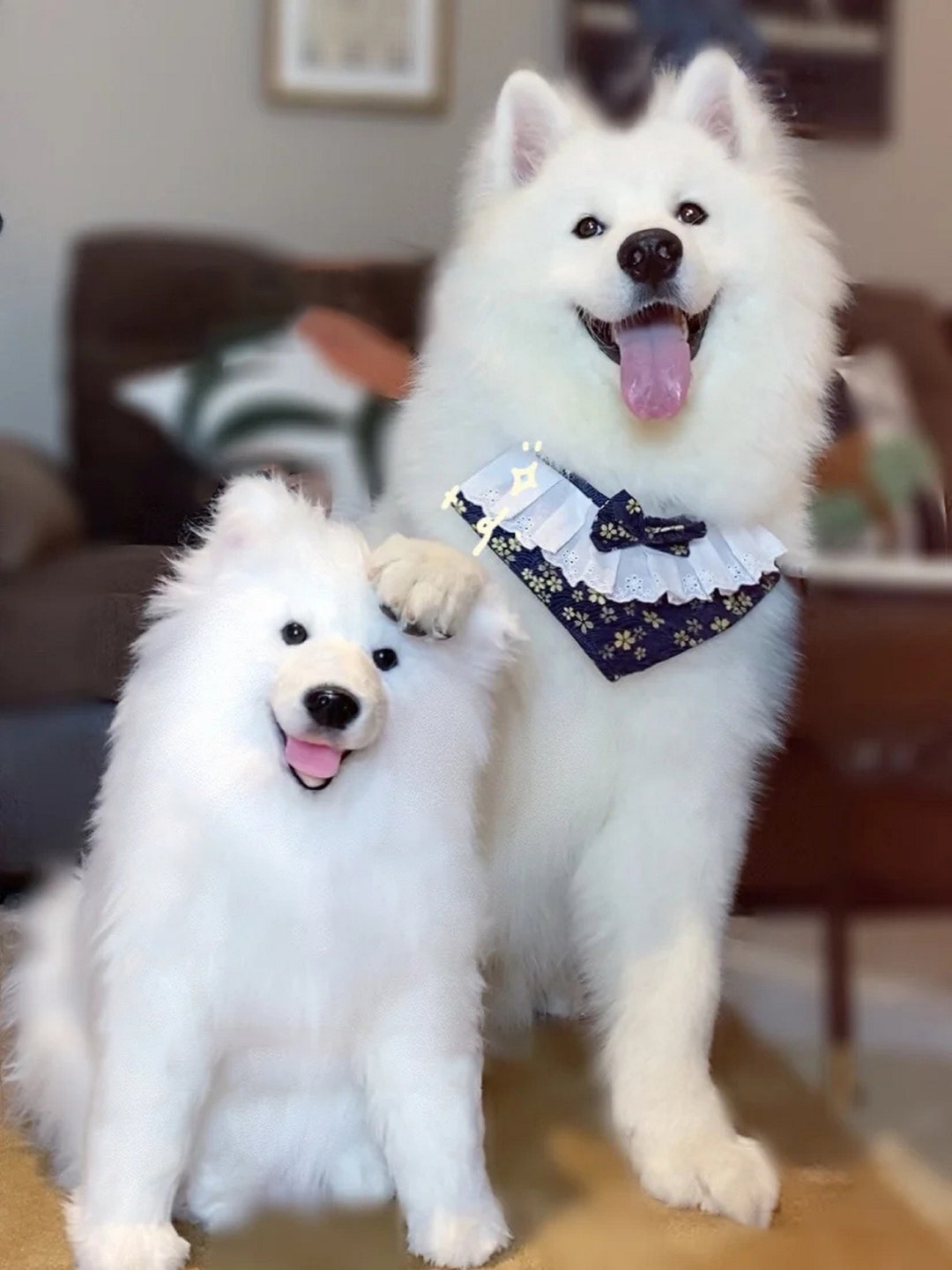 Custom Stuffed Pet Clone: Realistic Plush Dog or Cat Replica - Etsy