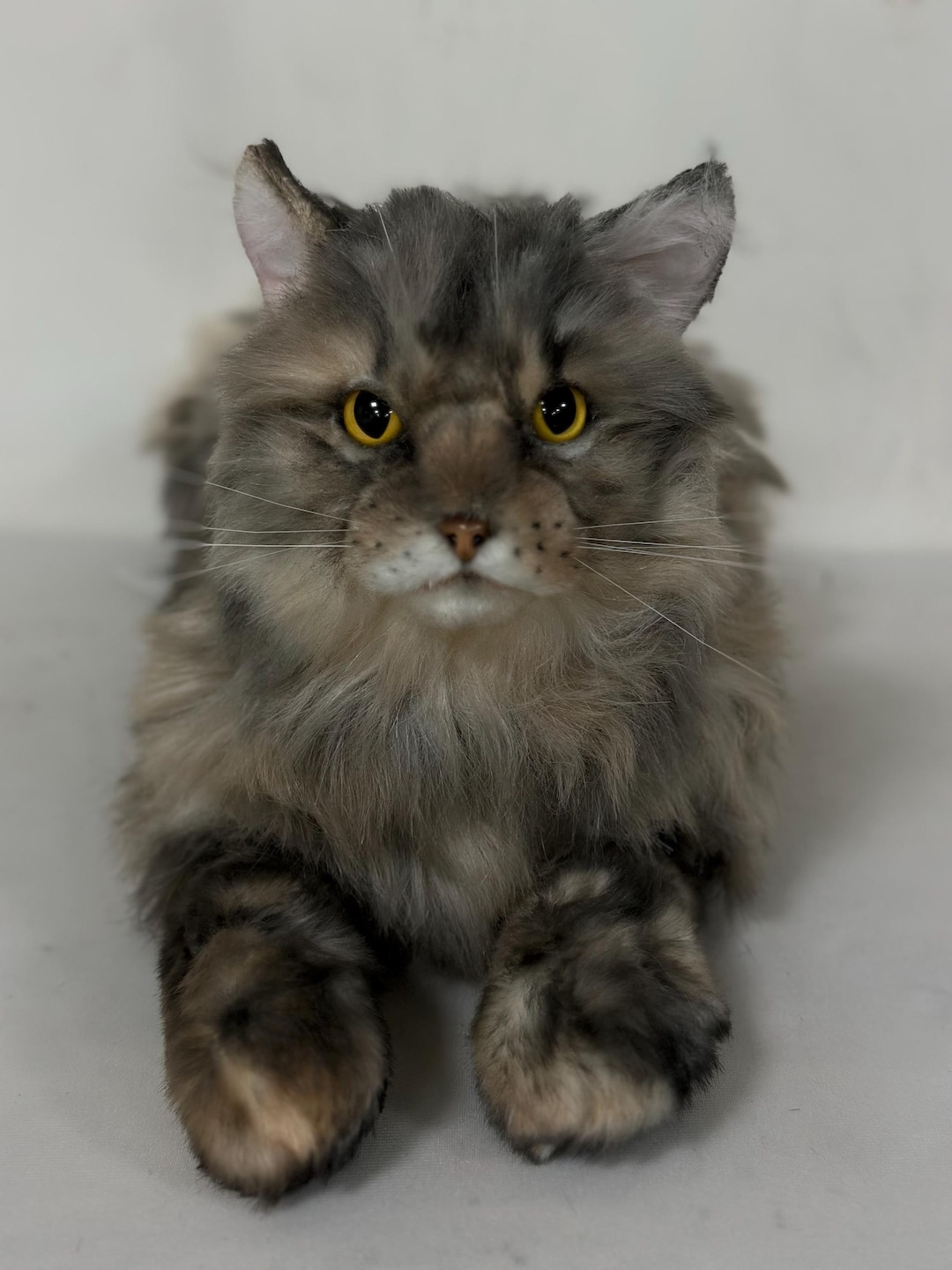 Handmade Tabby Cat Plush: Realistic Longhair Companion Gift,cat Lover ...