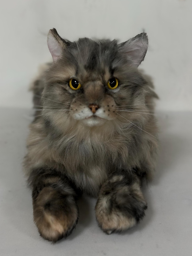 Handmade Tabby Cat Plush: Realistic Longhair Companion Gift - Etsy UK