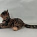 Handmade Tortoiseshell Cat Plush: Realistic Companion Gift (made to ...
