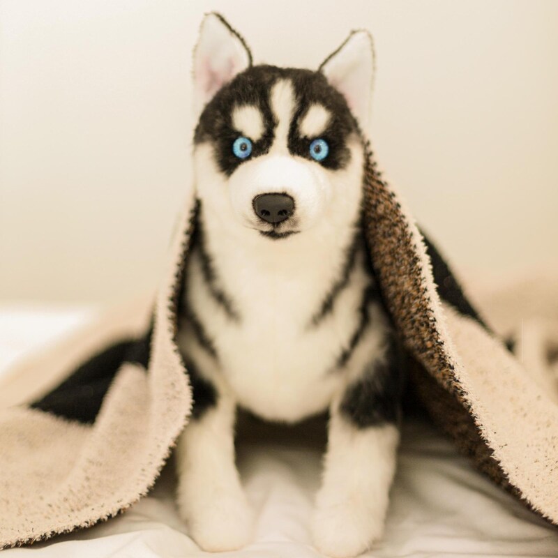 Husky Plush - Etsy
