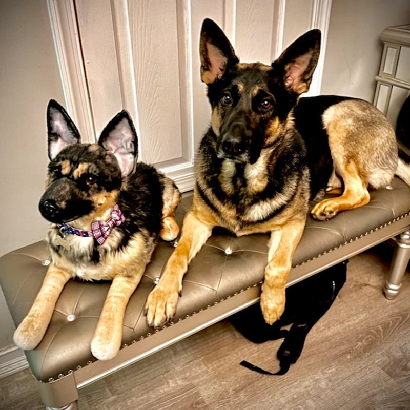 Realistic Stuffed Animal Dogs - Etsy