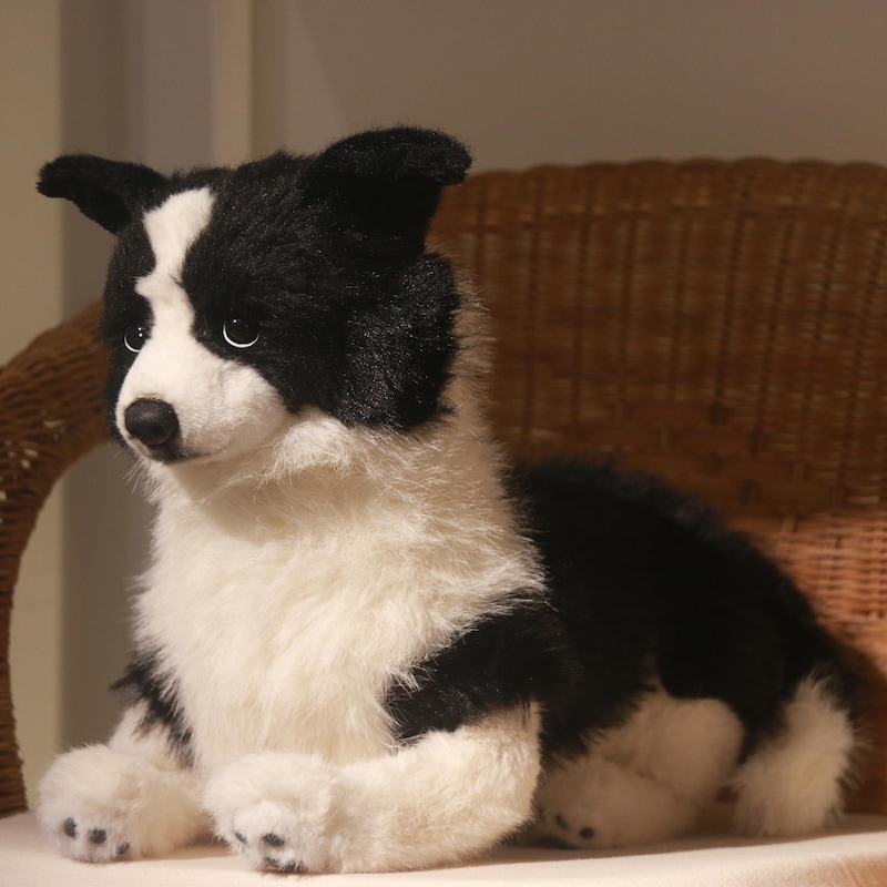 Brown Border Collie Douglas - Etsy