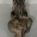 Handmade Tabby Cat Plush: Realistic Longhair Companion Gift,cat Lover ...