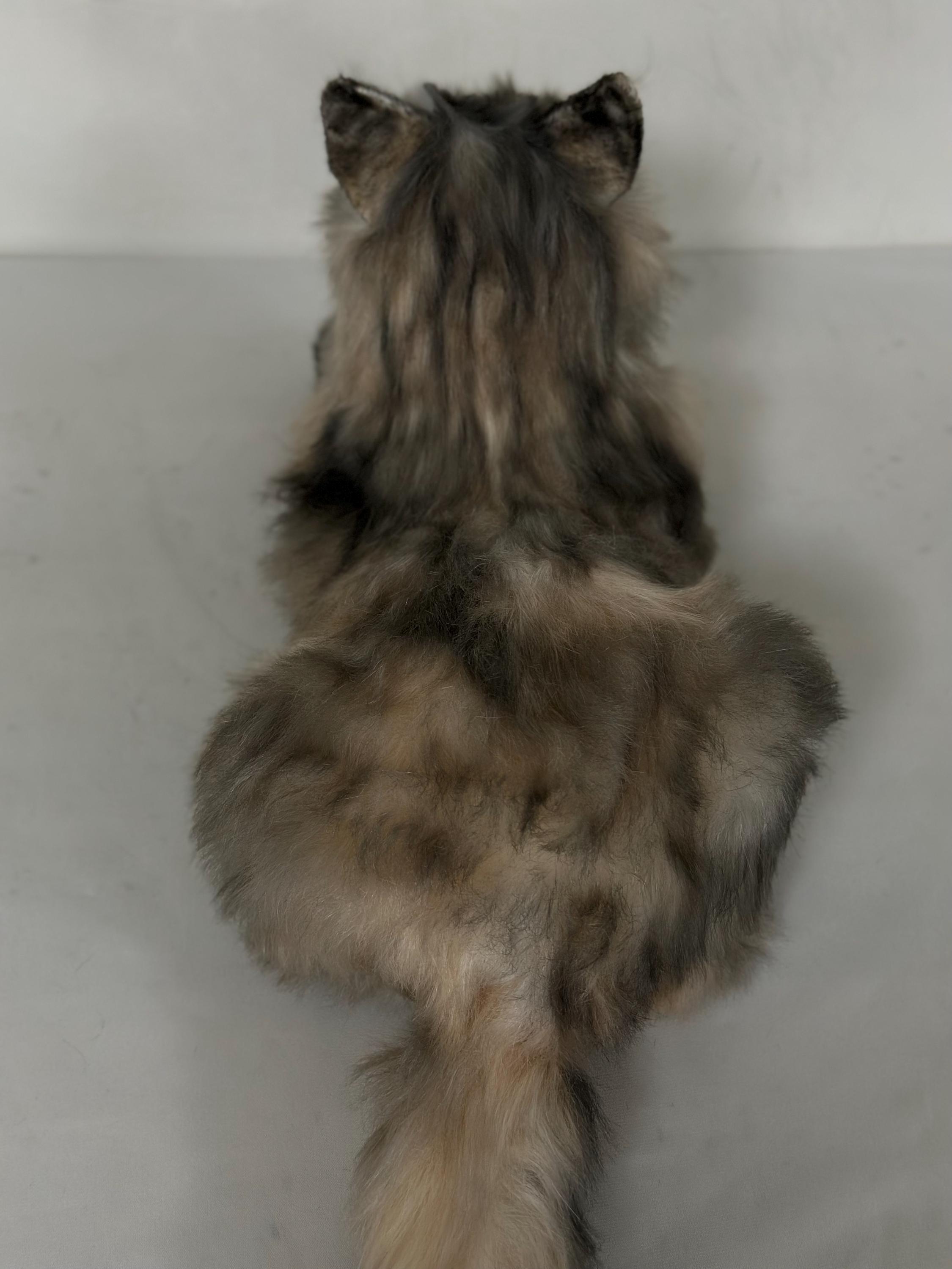 Handmade Tabby Cat Plush: Realistic Longhair Companion Gift - Etsy
