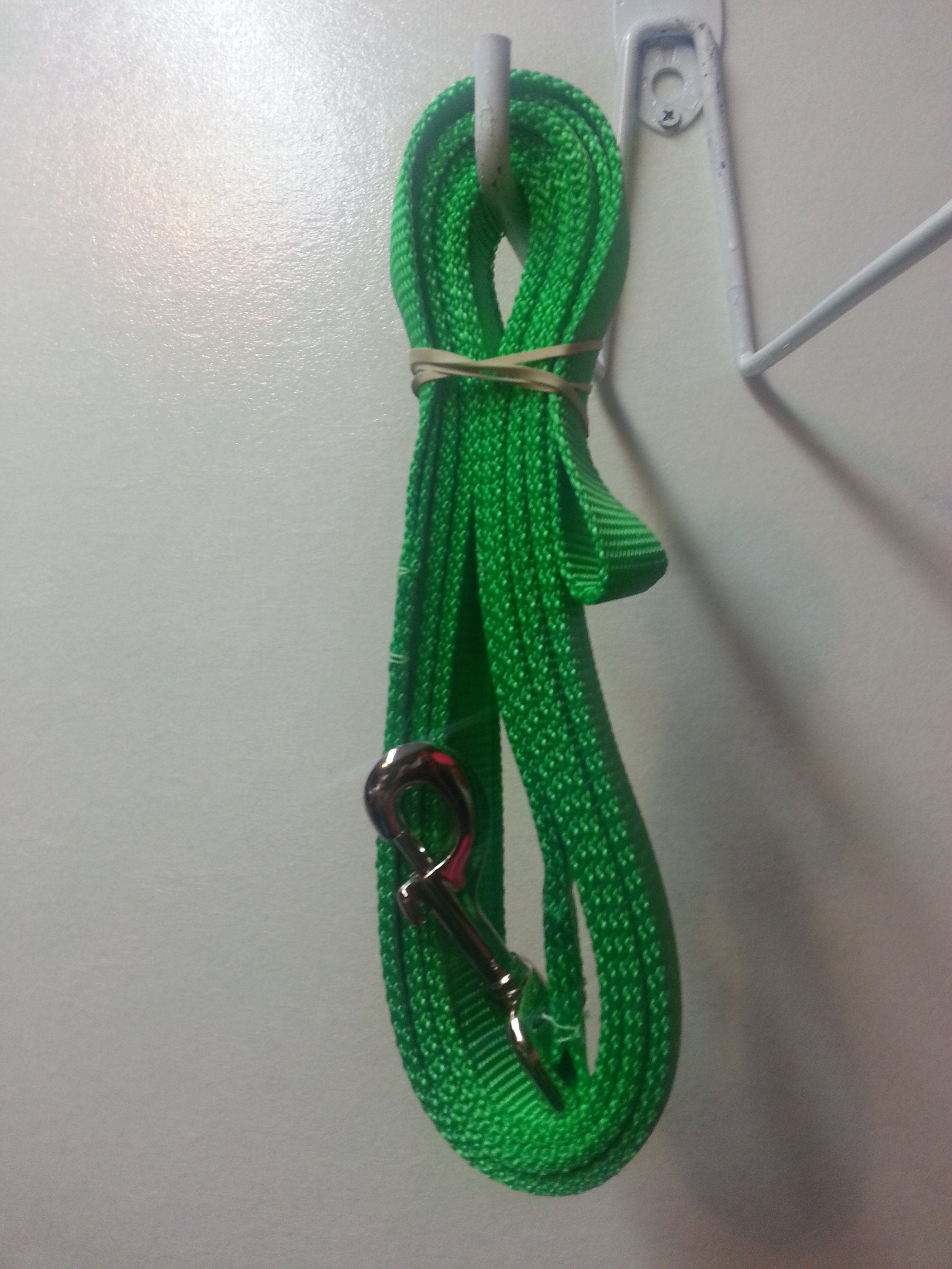 10 Ft Dog Leash Strong 2 Ply Webbing USA Hand Made - Etsy